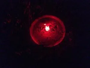 Best Way To Play Disc Golf at Night - Disc Golf Reviewer